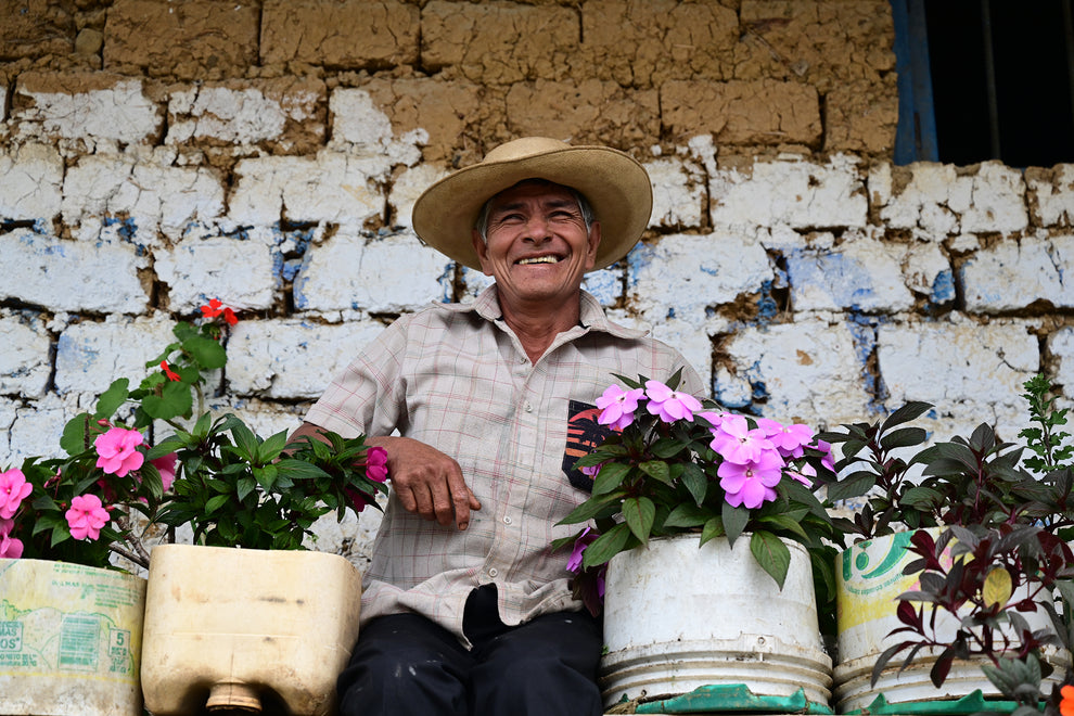 Peru La Confianza – Drip Roasters